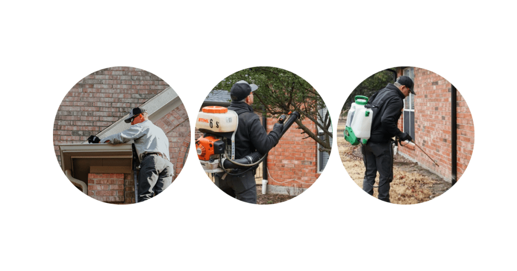 Pest Control Flower Mound - DANCAN Pest Control