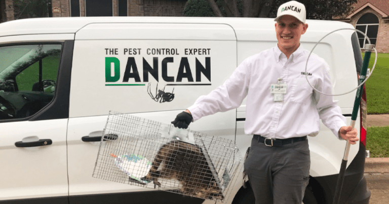 DANCAN Pest Control Services | Reliable Solutions for Your Home